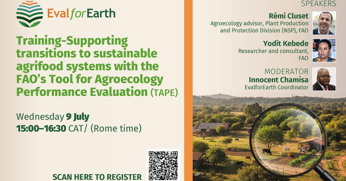 Training: Supporting transitions to sustainable agrifood systems with the Tool for Agroecology ...